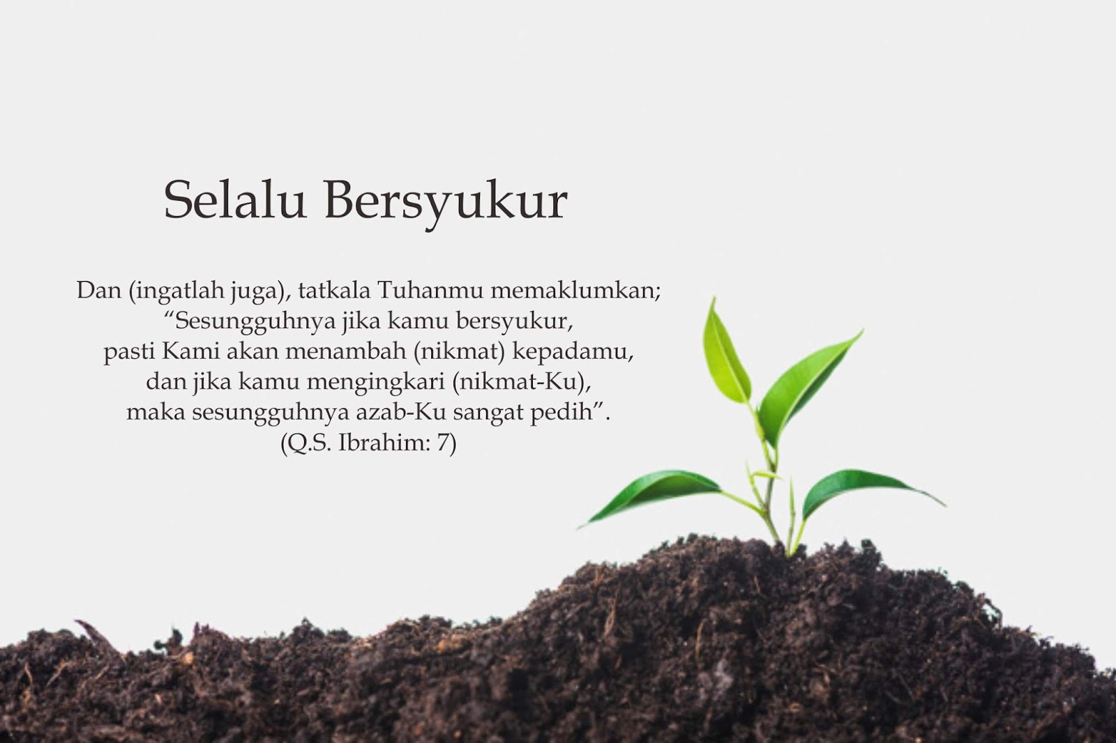 10 Tips Bahagia dalam Hidup - Penikmat Rindu