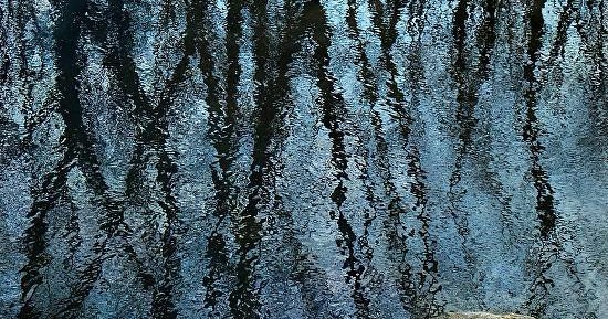 Where ART Lives Gallery Artists Group Blog: Water, Reflections in Water ...