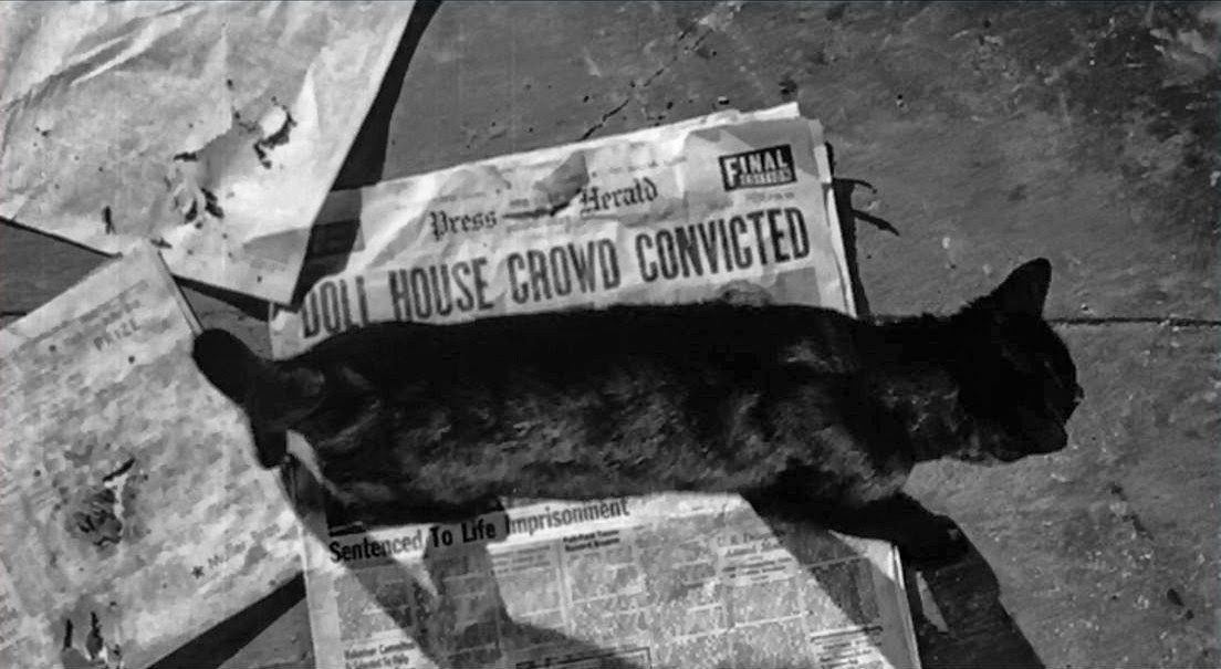 DREAMS ARE WHAT LE CINEMA IS FOR...: WALK ON THE WILD SIDE 1962