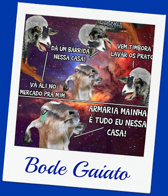 VENTO NORDESTE: BODE GAIATO CROU ASAS E GANHOU O MUNDO - ARMARIA MAINHA ...