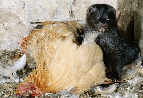 Girls Just Want to Have Fun: 04/01/2004 - 05/01/2004