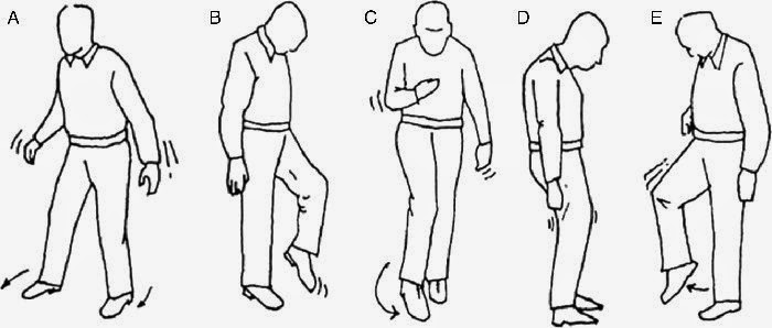SEMINARIO INTERDISCIPLINARIO -EENA 2015: CONCEPTOS, TIPOS DE MARCHA Y ...
