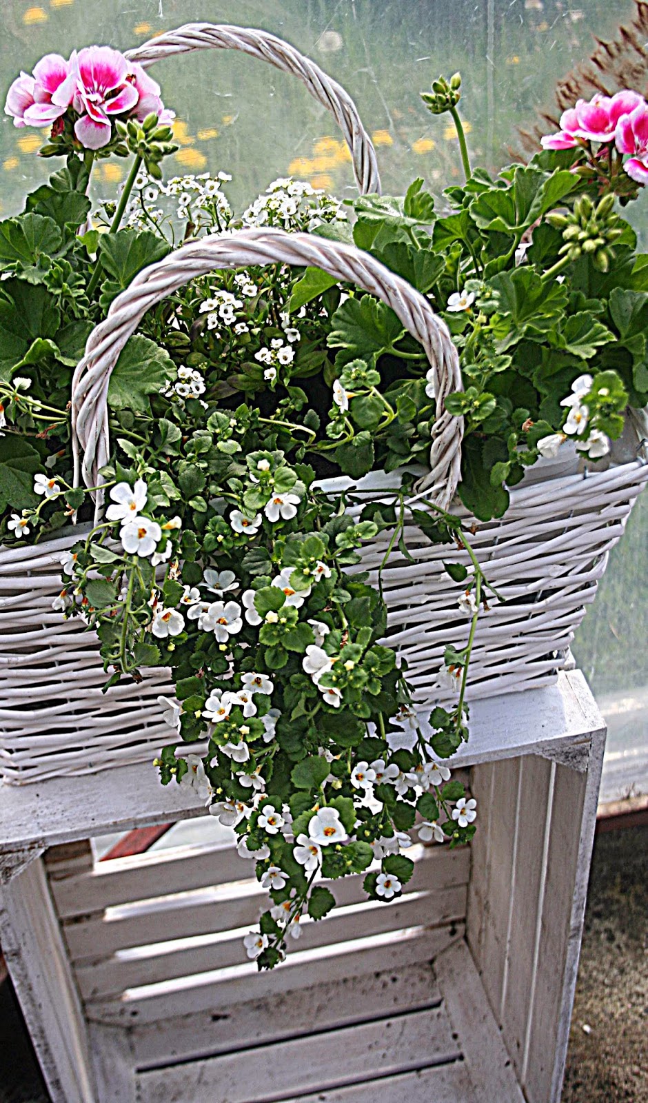 Smak życia: KOMPOZYCJE KWIATOWE BA BALKON,TARAS I DO OGRODU-CZ 1