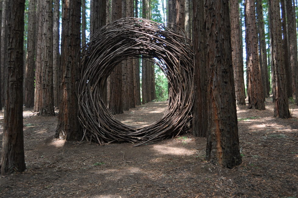 Lisa's World: Redwood Forest Tree Art