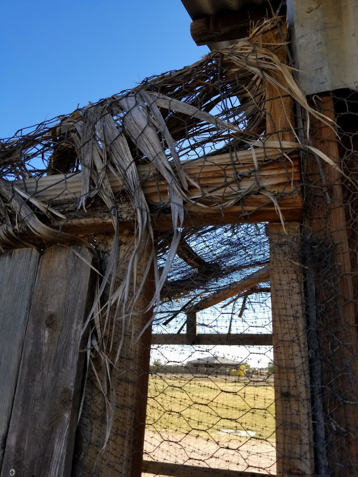 Tumbleweed Park Ranch