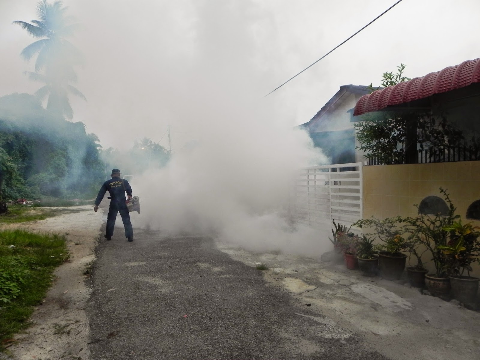 Reaktif: Semburan Asap: Cegah Denggi