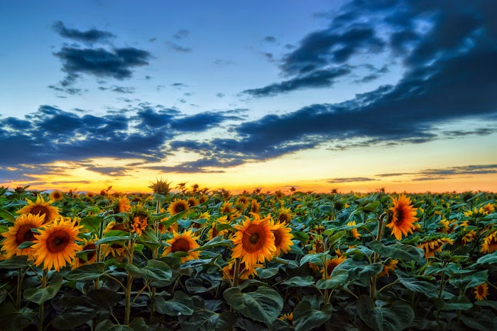 Brianna: HDR Examples