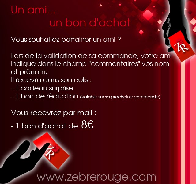 Accessoires voyages et idées cadeaux - Zèbre Rouge Blog