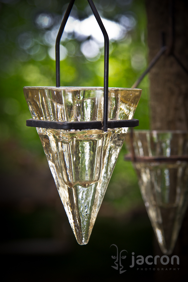 Jacron Photography.: Paul & Yvette, 12 December 2012. Whispering Tree ...