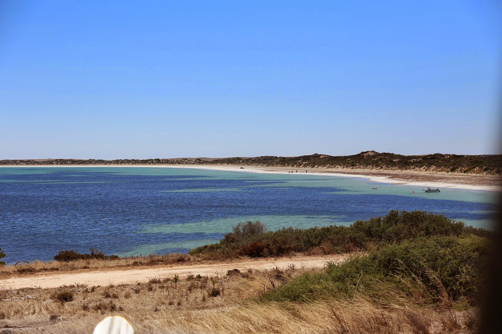 B around Australia: Streaky Bay & Sceale Bay{Passing Through}