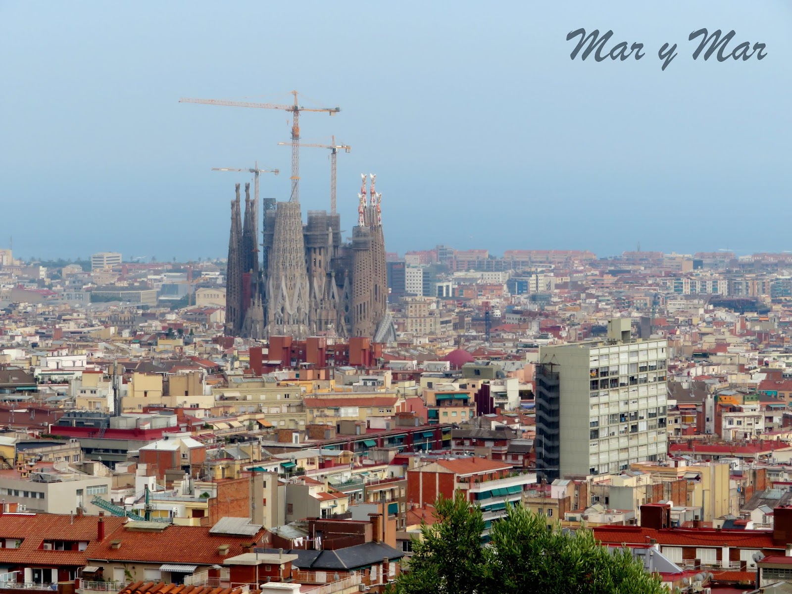 MAR Y MAR : BARCELONA