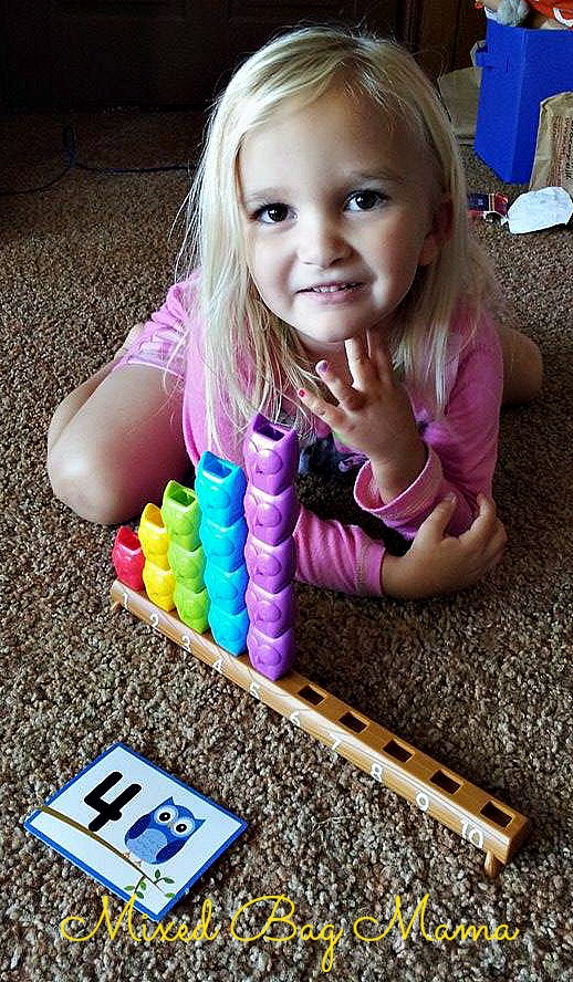 Mixed Bag Mama Make Math Fun With The 1 10 Counting Owls Activity Set mixed-bag-mama-make-math-fun-with-the-1-10-counting-owls-activity-set