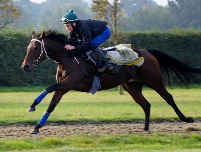 Julia Feilden Racing: Back to business