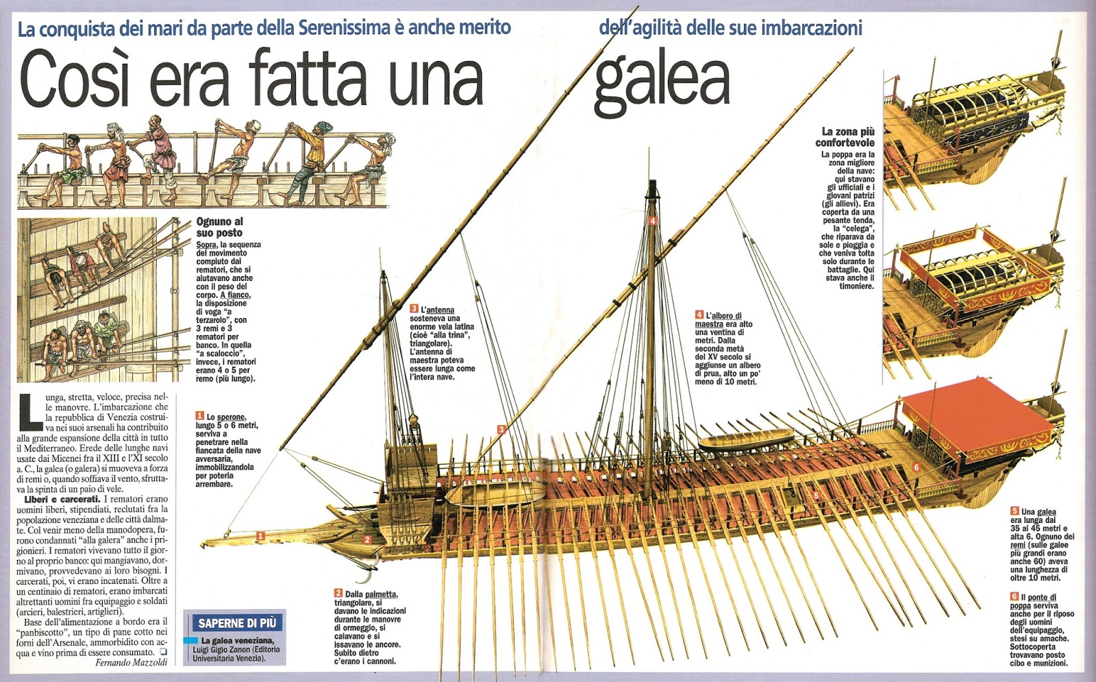 LA CASSA PEOTA, SOLO VENEZIANA? LE GALEE VENETE E I BONAVOGLIA"