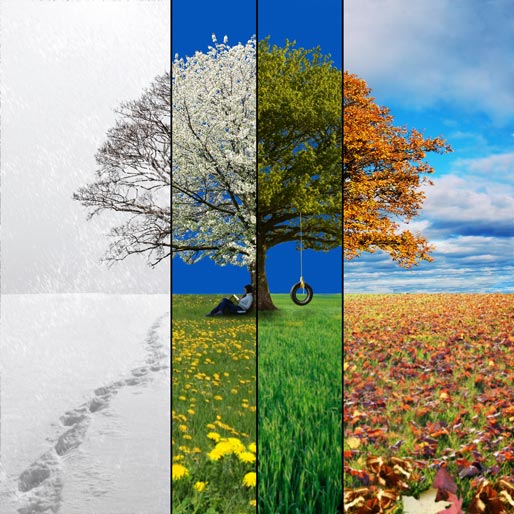 Come. Nada. Ama.: Primavera, Verano, Otoño, y Invierno Come. Nada. Ama.: Primavera, Verano, Otoño, y Invierno