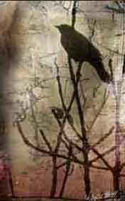 Kompositsioonide ideepilv: Hingelind