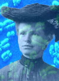 Mujerícolas: Nettie Stevens :Las bases cromosómicas del sexo