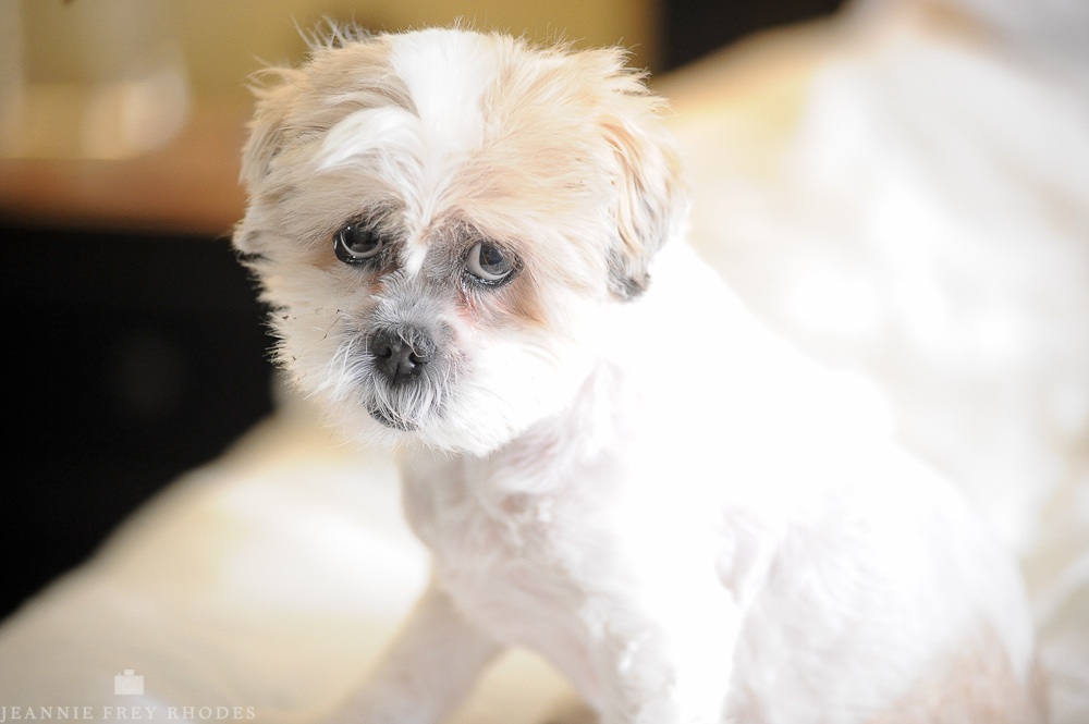 ALL THINGS BABY BLUE!