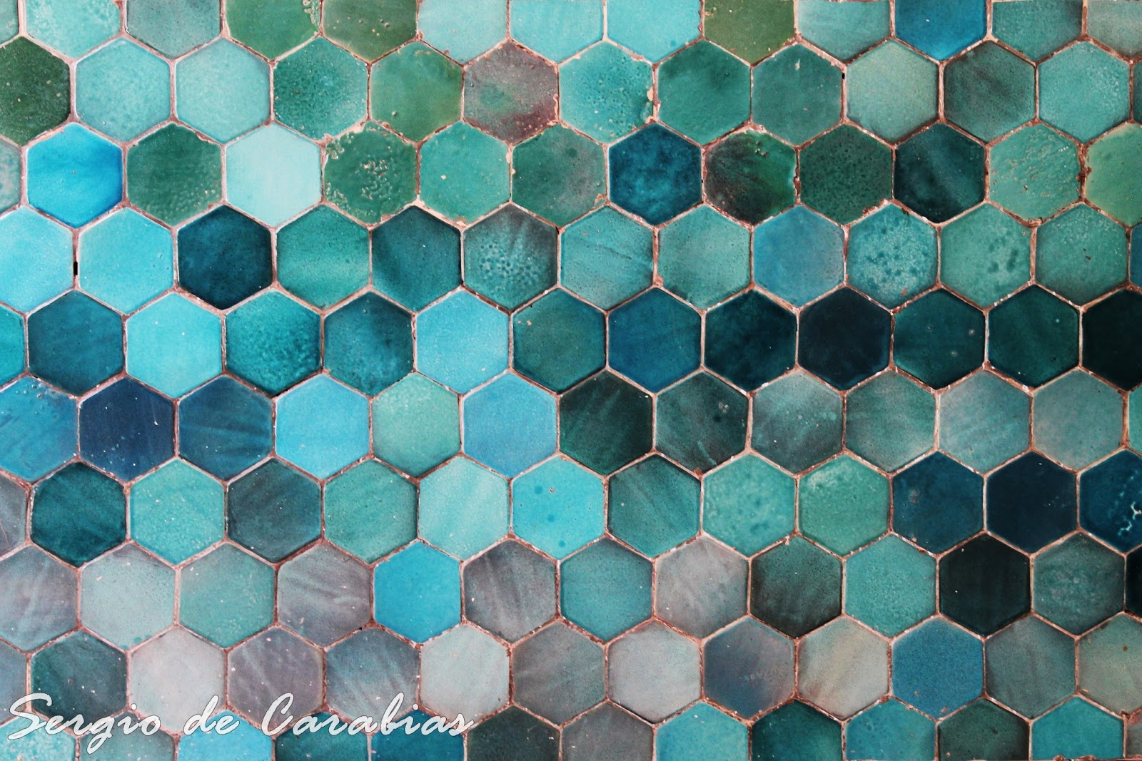 Aprendiz de biólogo y de artista: El mundo es una pared de azulejos.