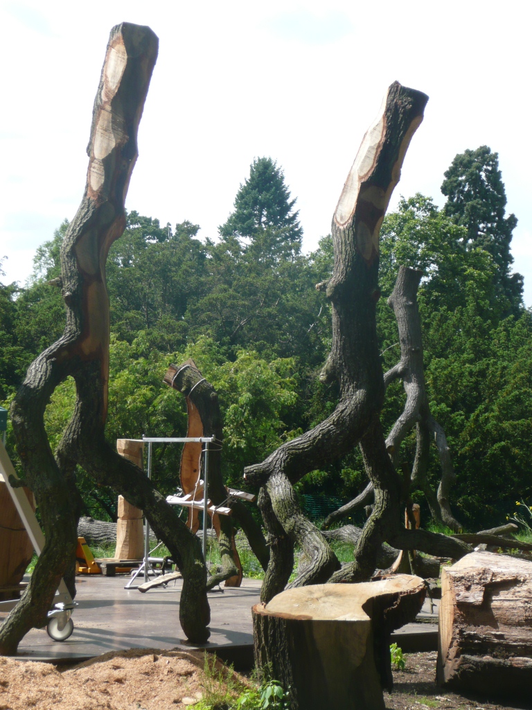 some LANDSCAPES: A Natural Gallery