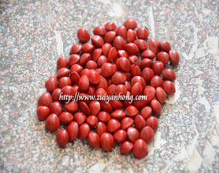 Sweet Memories Of ZuiYanHong: Saga Tree And Saga Seed