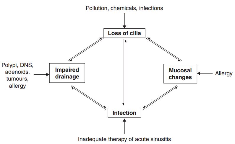 Chronic sinusitis - Steam inhalation not effective, nasal irrigation ...