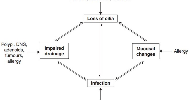 Chronic sinusitis - Steam inhalation not effective, nasal irrigation ...