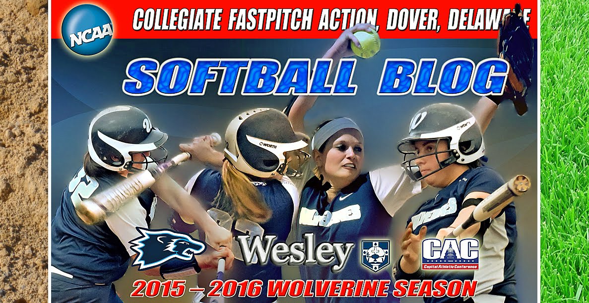 Fastpitch Softball Pitch Calling Chart at Zelma Radford blog