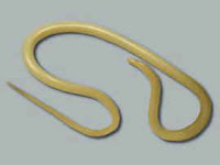 Cacing Gelang