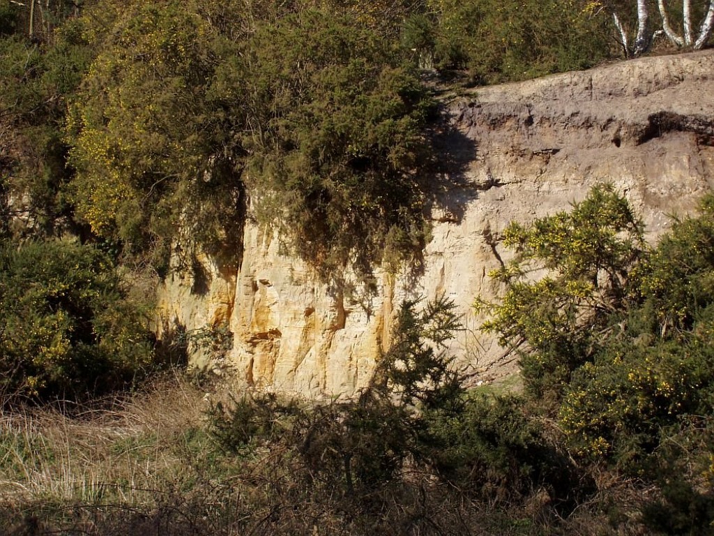Norfolk Wildlife Trust: April 2013