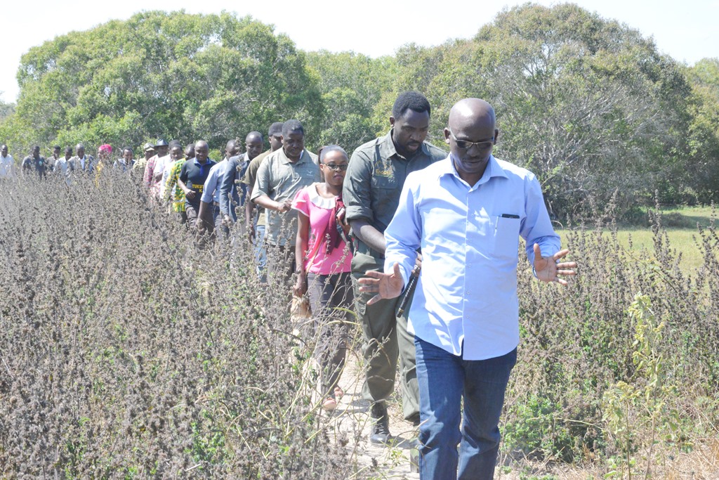 MALIASILI NA UTALII BLOG: WAZIRI KIGWANGALLA AAGIZA UJENZI WA VIWANDA ...