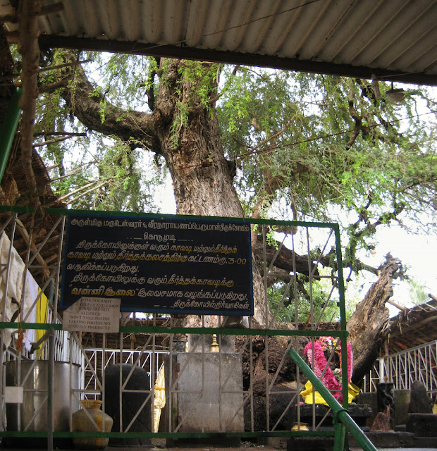 Tamilnadu Tourism: Mahudeshwarar Temple, Kodumudi – The Temple