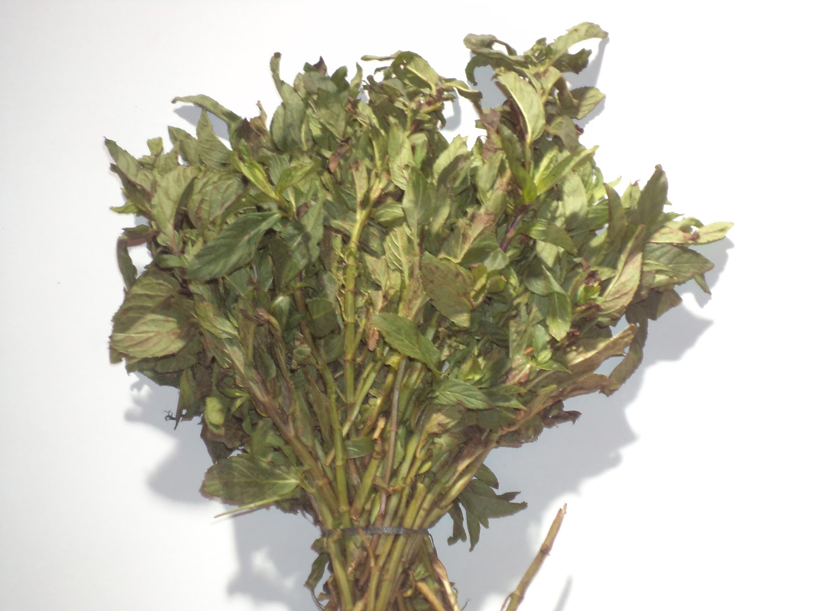 My Natural Remedies Health: MEDICINAL PLANTS