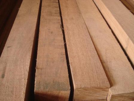 KAYU KAMPER UNTUK KONTRUKSI BANGUNAN - Kunci Sukses