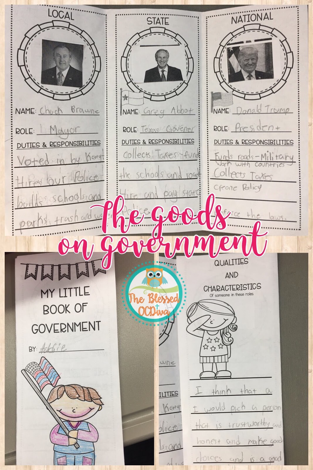 The Goods on Government-teaching levels of government | The Blessed OCDiva