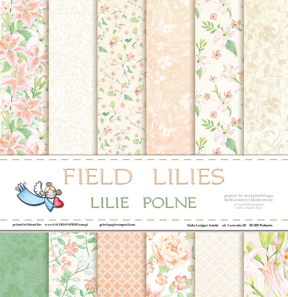 Paper Heaven: Kolekcje Paper Heaven / Paper Heaven Collections