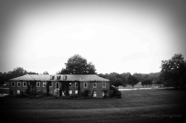 Pompeii Penguin- Attempting to Fly: Rosewood Center