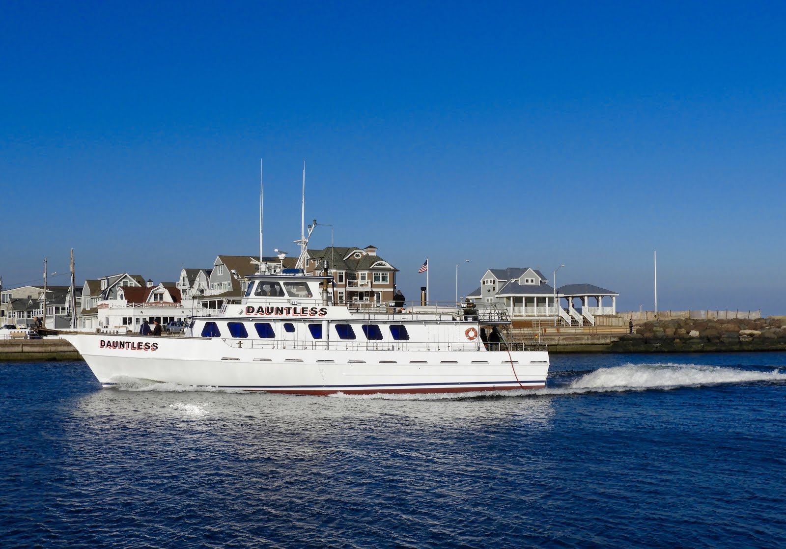 It's All About Purple: Pt. Pleasant, The Dauntless & The Loons...