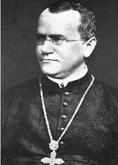 Bitácora Regulación y Expresión Genética en la mosca de frutas ...