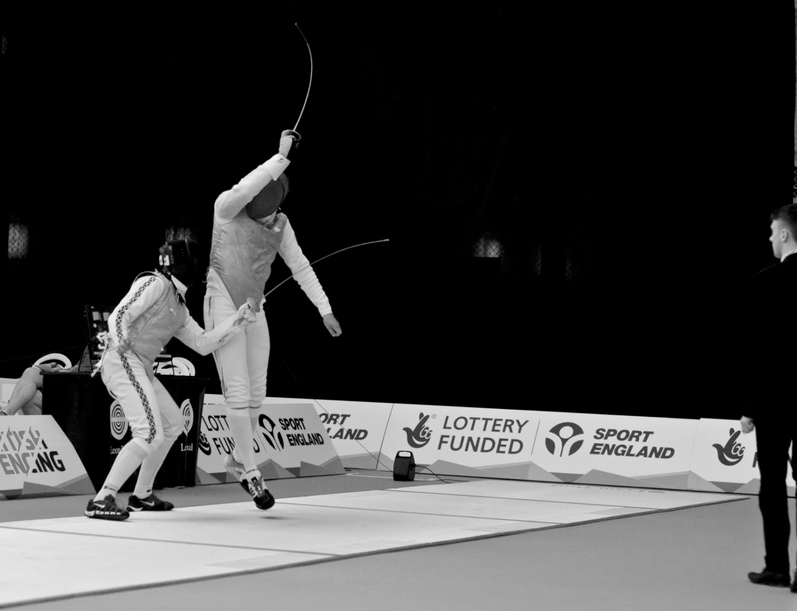 The Plashing Vole: 2016