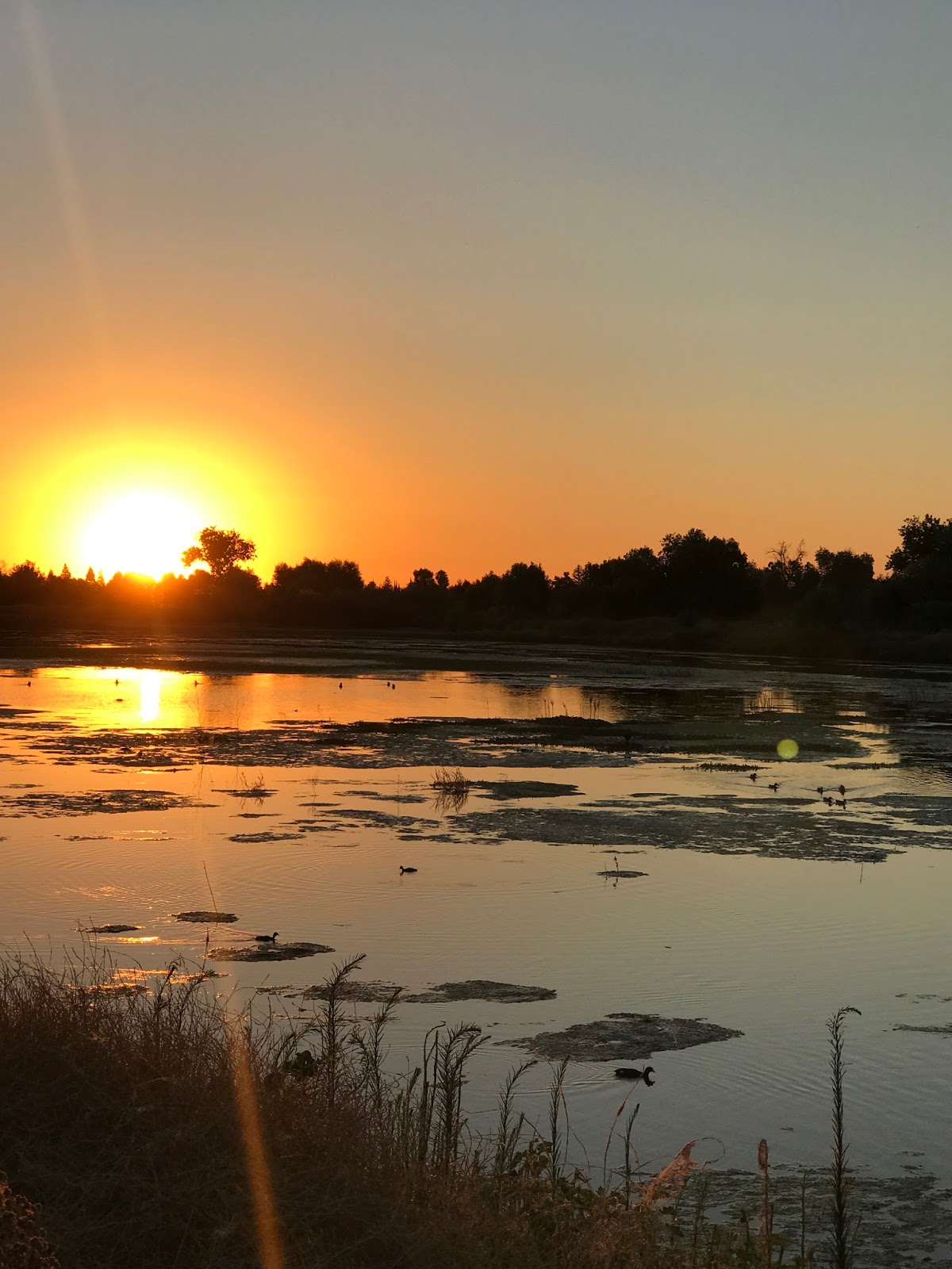 Portobello Design: Serenity • Conservation • Beauty