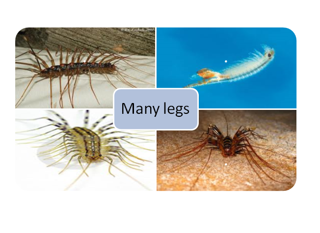 Knowledge is The Power to SUCCESS