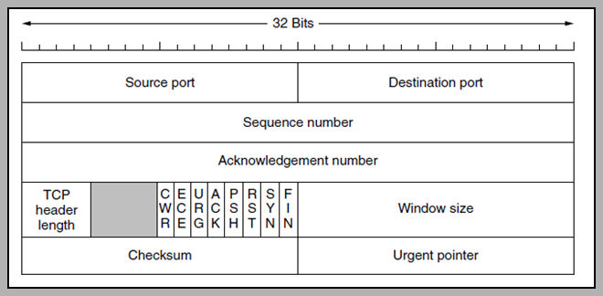 Tcp Udp Header Cybersecurity Guide
