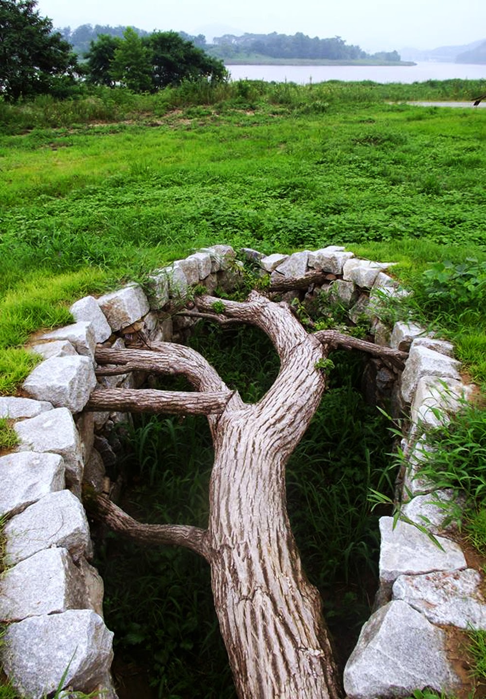 Rumen Dimitrov: Horizontally growing trees Nature Art Biennale Korea