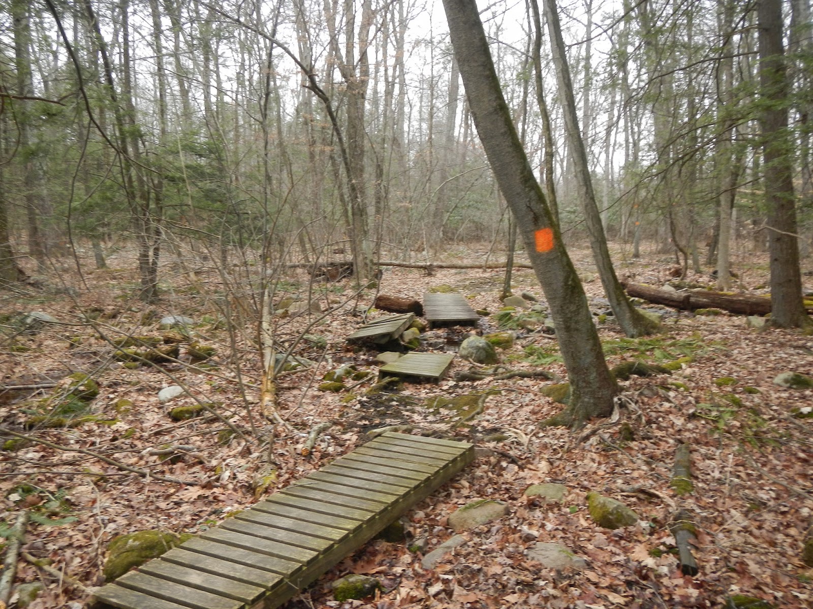 Taking Out the Trash in Eastern PA: Bear Swamp and Lake Minsi (27-Feb-2017)