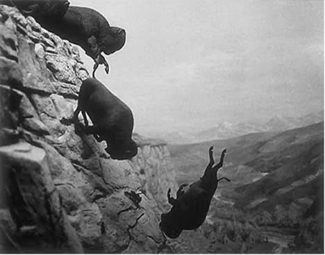 U2 Sombras e Árvores Altas - Blog: David Wojnarowicz e U2: One