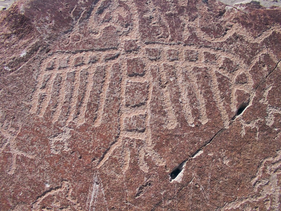 TRAVEL AND TOUR (viajes y turismo): TORO MUERTO