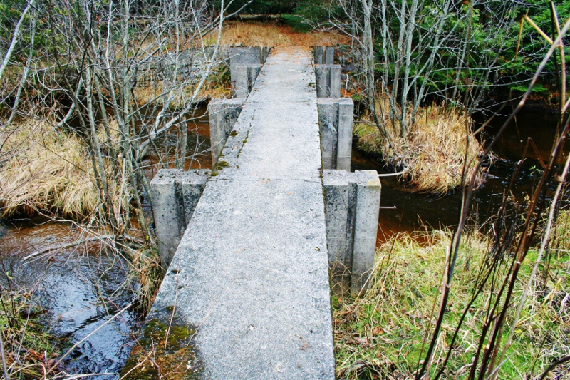 Birch Lodge Blog: Eckerman, MI Trout Pond