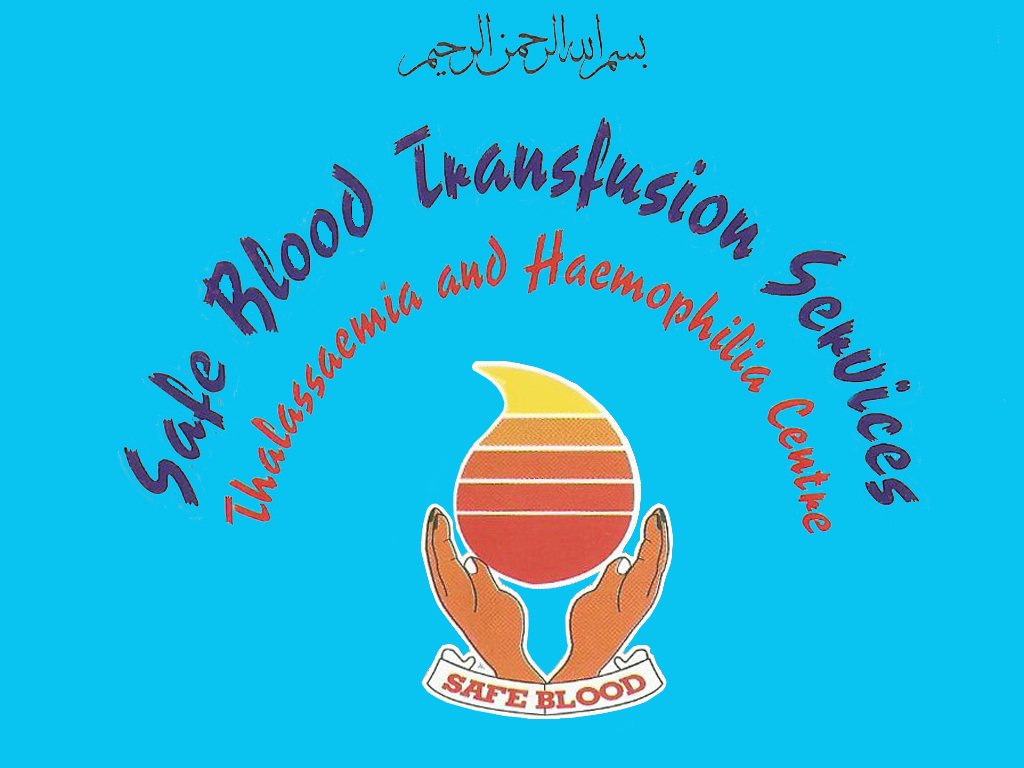 Fullhddrama: Safe Blood Safe Life