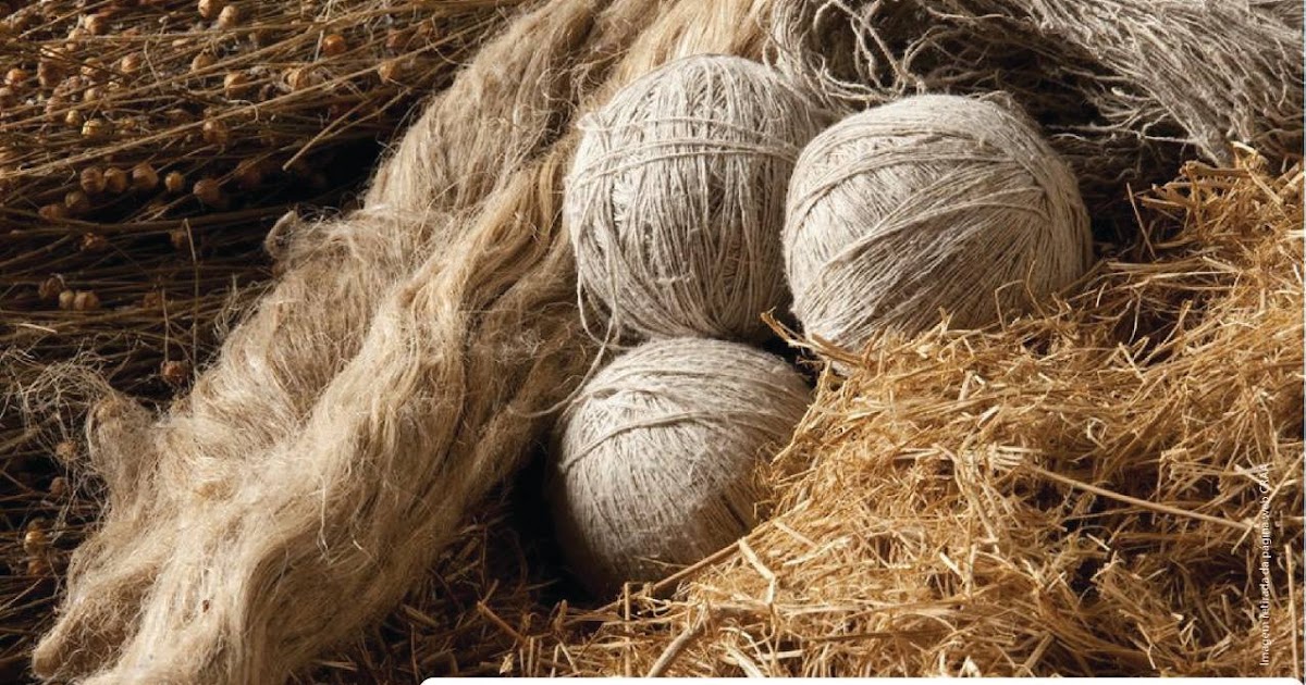 Burra de Milho: Workshop | Transformações do Linho: da planta ao fio ...